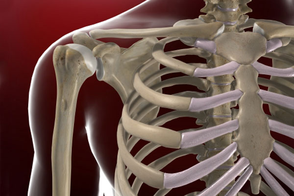 Welcome To Baldwin Bone & Joint - Baldwin Bone & Joint PC